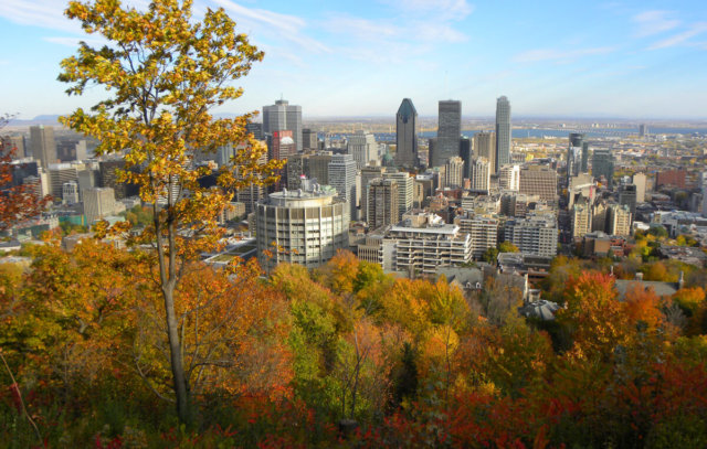 The Best Views on Montreal's Mont-Royal