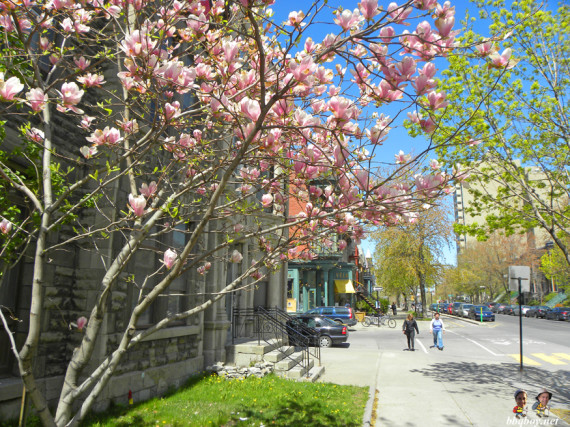 Photo Essay - Montreal in the Spring
