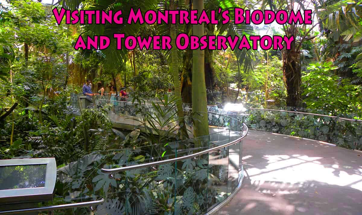 Visiting Montreal's Biodome and Tower Observatory