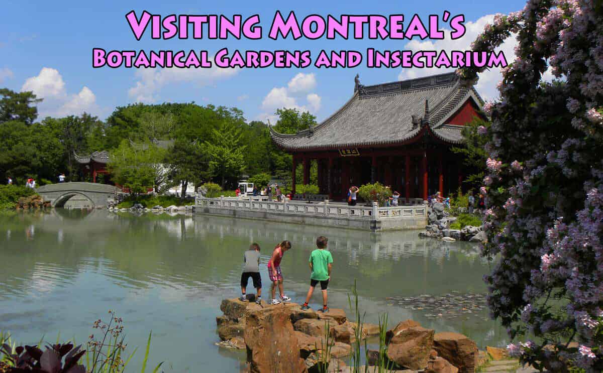 Visiting Montreal's Botanical Gardens and Insectarium