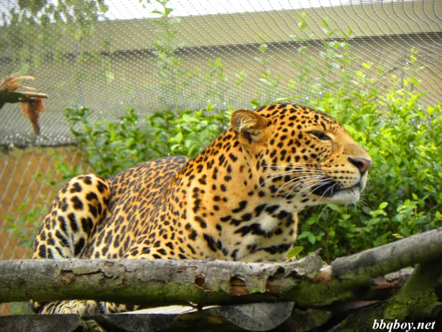 Prague Zoo – a 'must-see' for anyone visiting Prague with Children