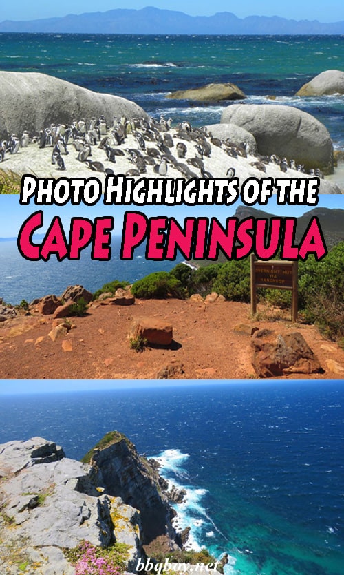 Photo Highlights of the Cape Peninsula