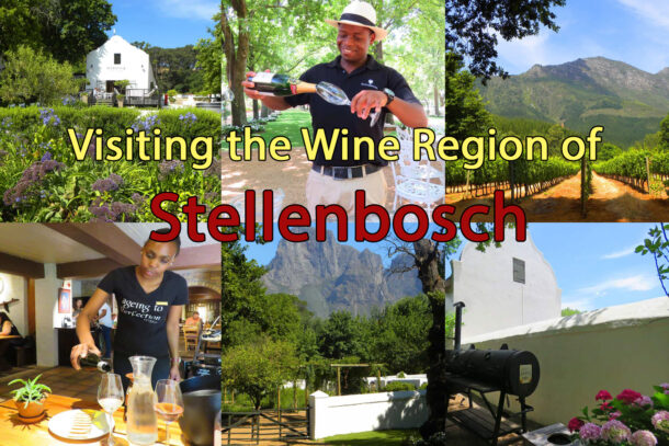 A guide to the best wineries of Stellenbosch