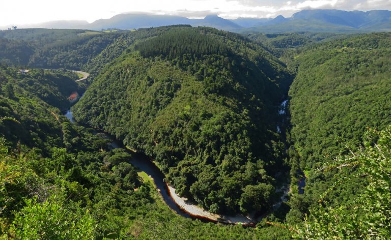 The Garden Route and Karoo - the ultimate 2 week road trip