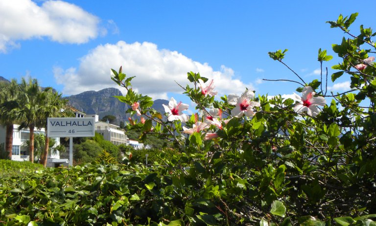 A guide to walking the Atlantic Coastline of Cape Town