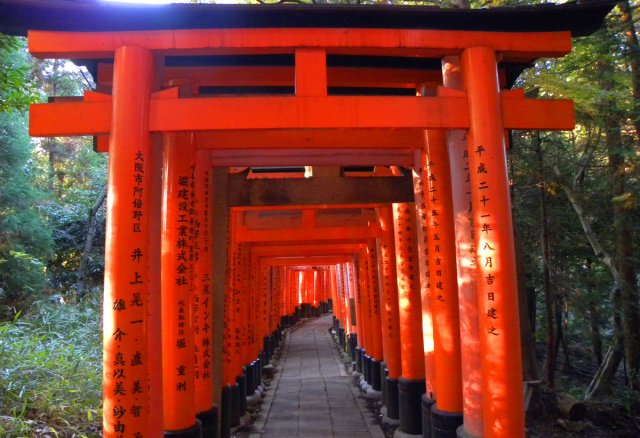 The Best things to Do and See in Kyoto