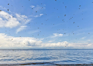 Where to Go and What to See in Armenia