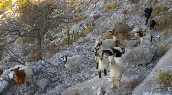 Why you don’t need to take a tour to hike Mosor Mountain