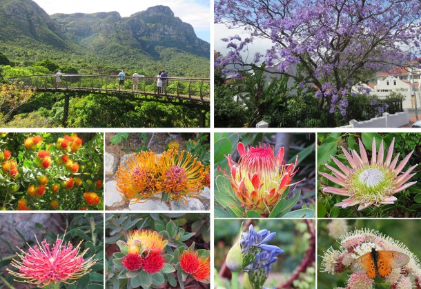 8 reasons to go to South Africa.