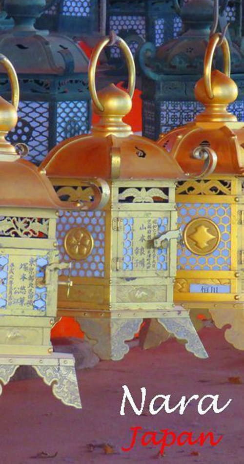 Why Nara was my favorite place in Japan