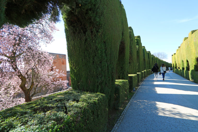 What you need to know about the Alhambra (Granada)