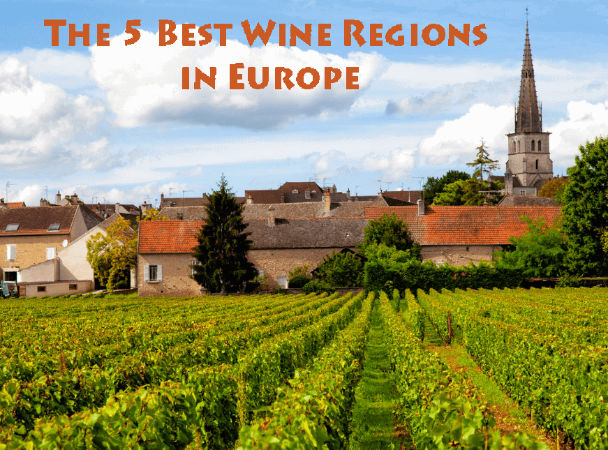 The 5 Best Wine Regions in Europe (that you should visit) - The Travels of BBQboy and Spanky