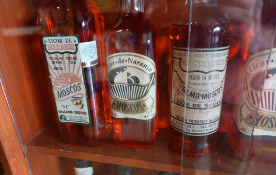 Why you should visit Toluca - The Travels of BBQboy and Spanky