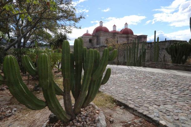 Monte Alban or Mitla? - The Travels of BBQboy and Spanky
